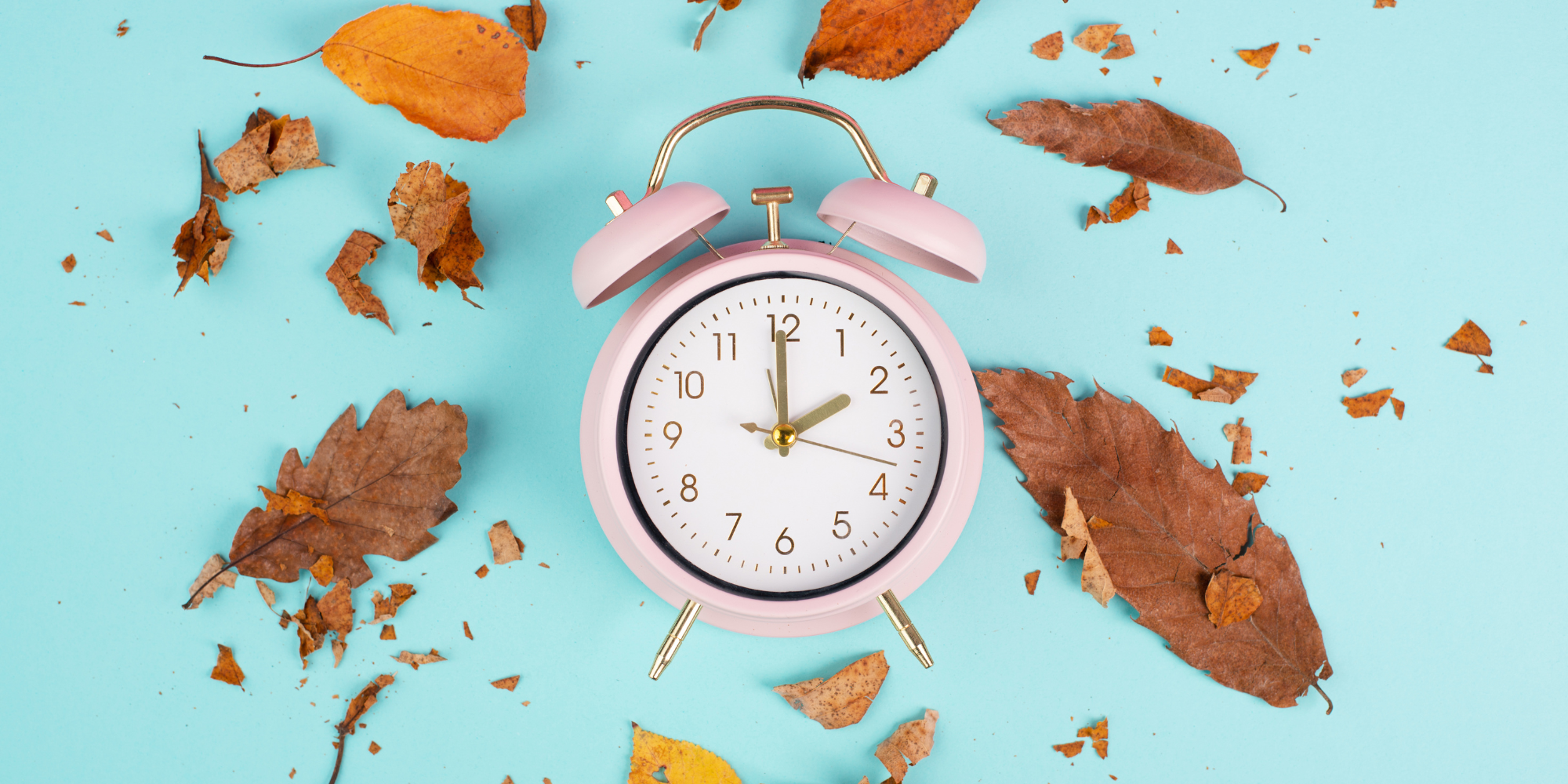 The History and Purpose of Daylight Saving Time | Premier Clocks